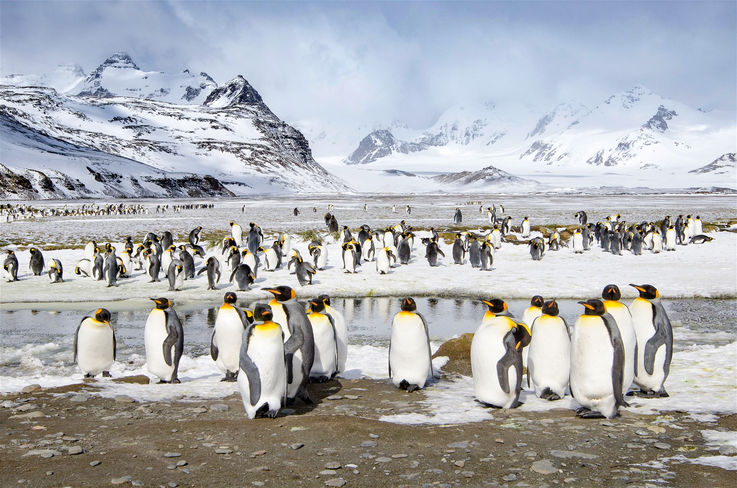 Antarctica & Patagonia Tour | Trailfinders