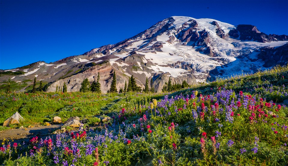 Oregon & Washington Explorer Tour | Trailfinders