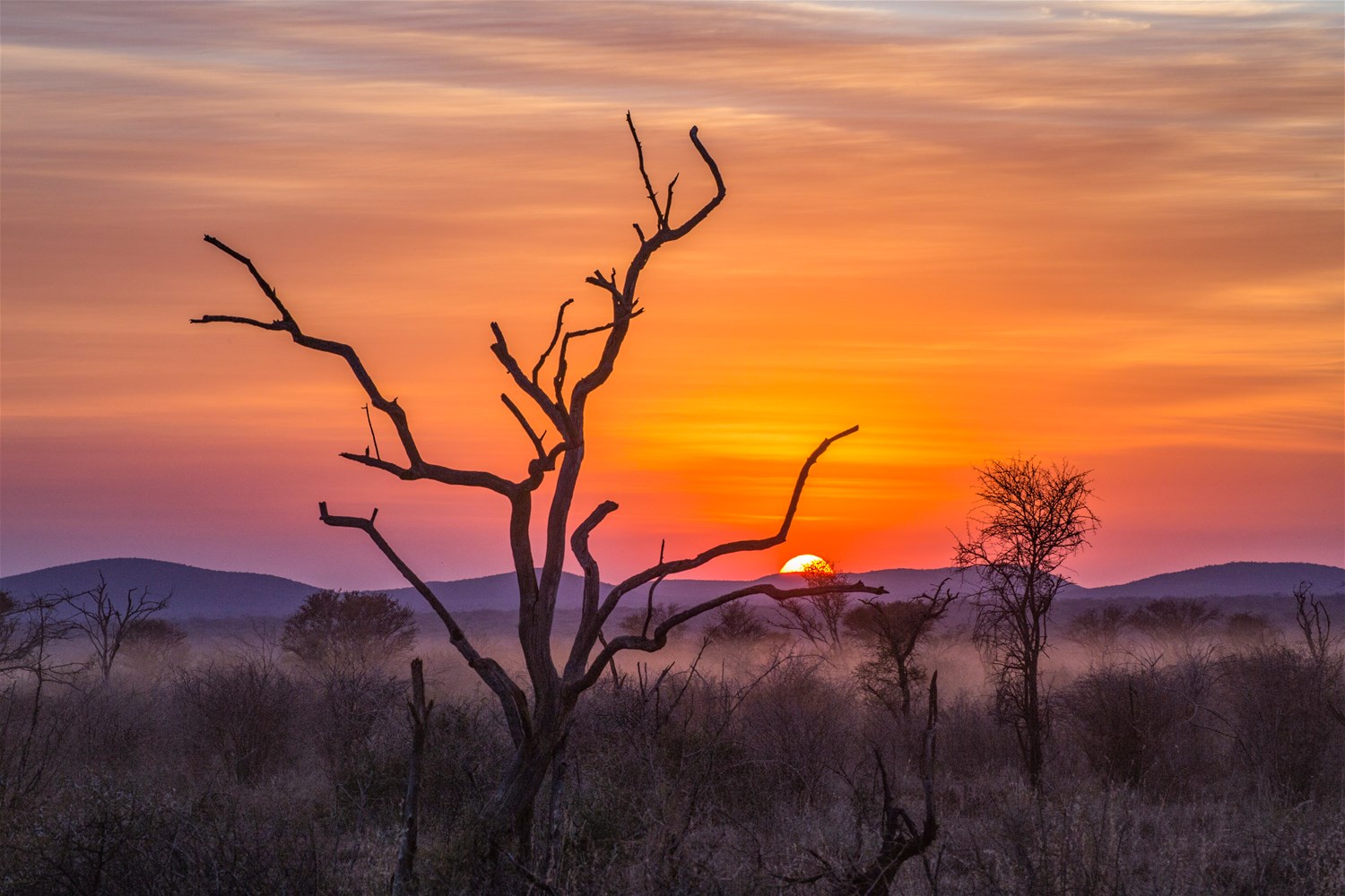 Africa | Tales from the Trail | Trailfinders
