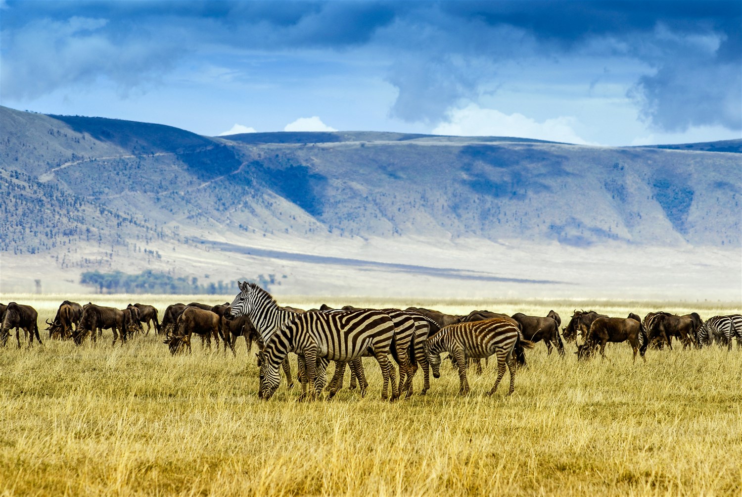 5 Reasons You Must Visit Tanzania | Trailfinders