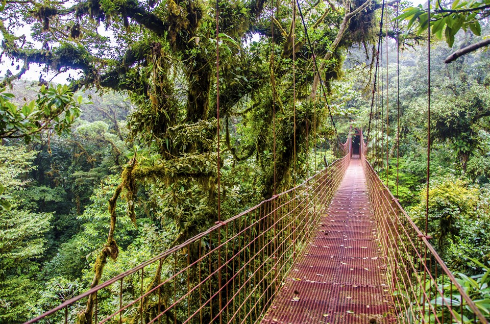 Discover Costa Rica Tour | Trailfinders