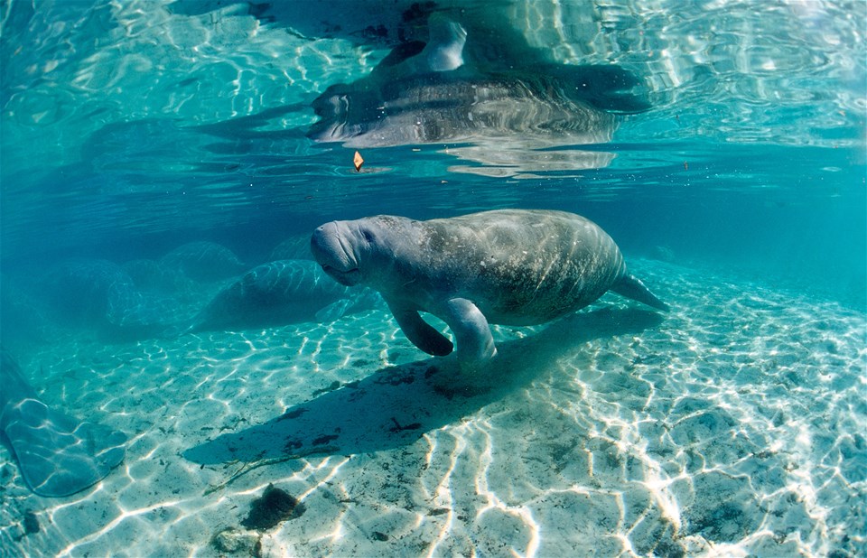 Florida Holidays & Tours | Trailfinders Ireland