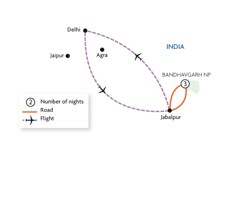 Tiger Extension from Delhi | Trailfinders