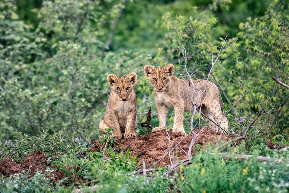 South Africa Tours & Holidays | Trailfinders