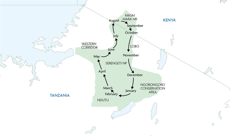 How to See the Great Migration | Trailfinders