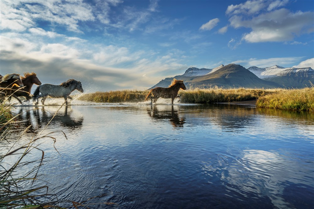 Iceland Holidays 2024/2025 | Trailfinders Ireland