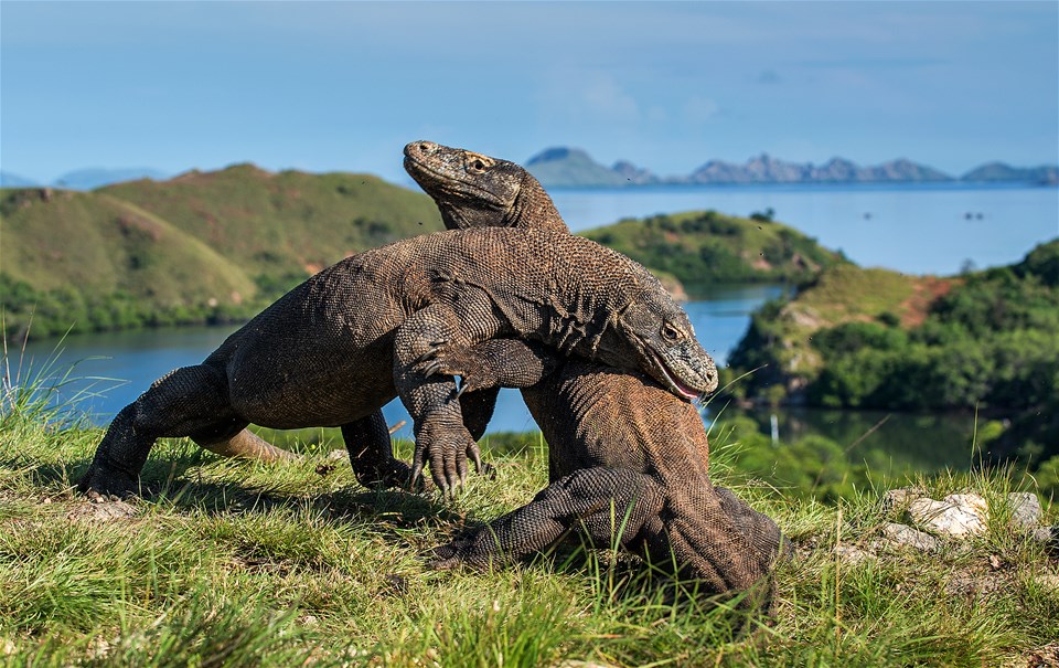 Island Guide: Indonesia | Trailfinders