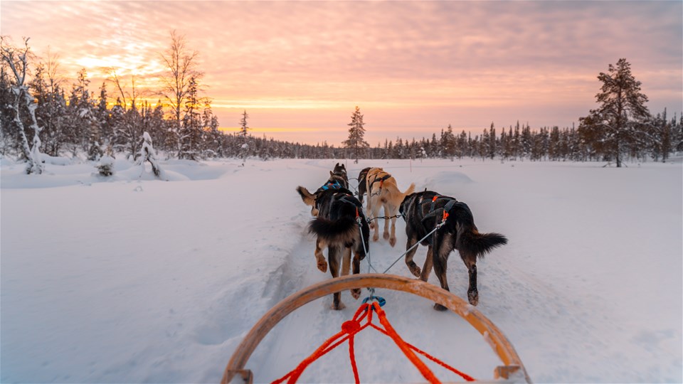 Year-round Europe | Trailfinders