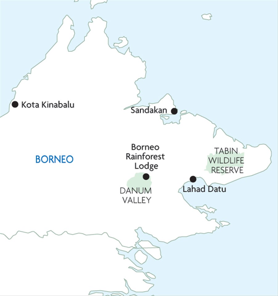 Danum Valley Adventure at Borneo Rainforest Lodge | Trailfinders Ireland