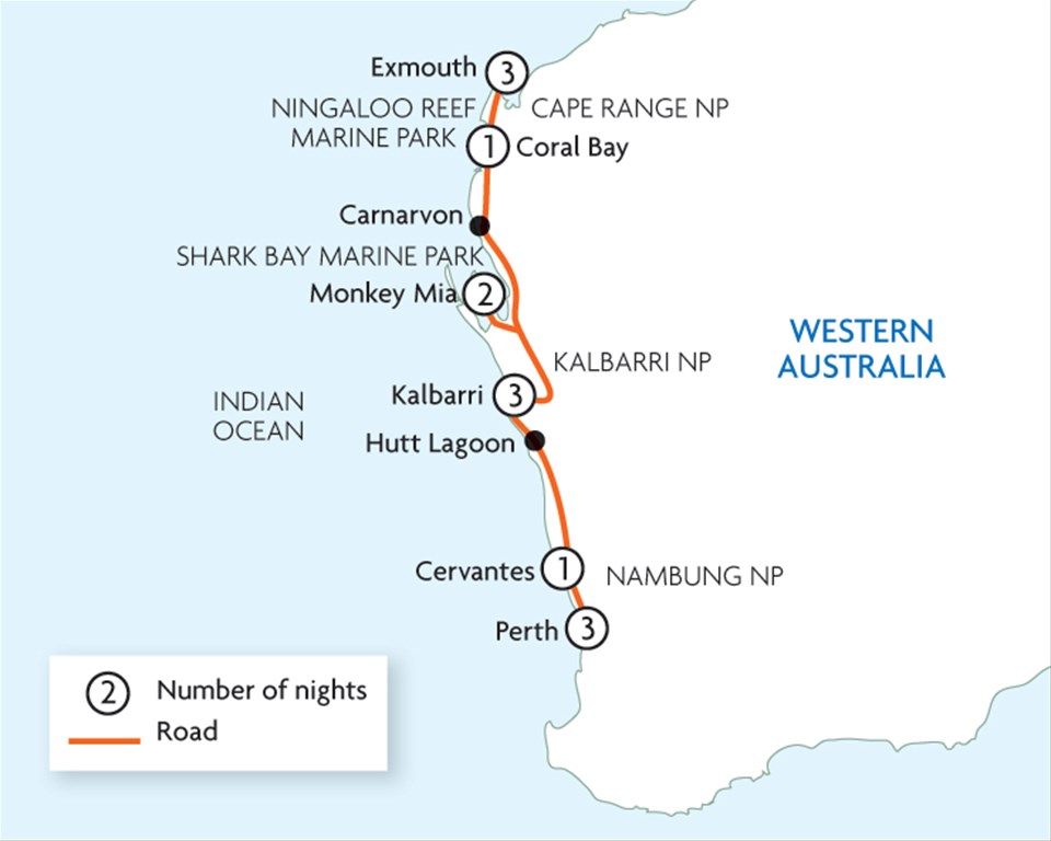 Western Shores & Whale Sharks | Trailfinders Ireland