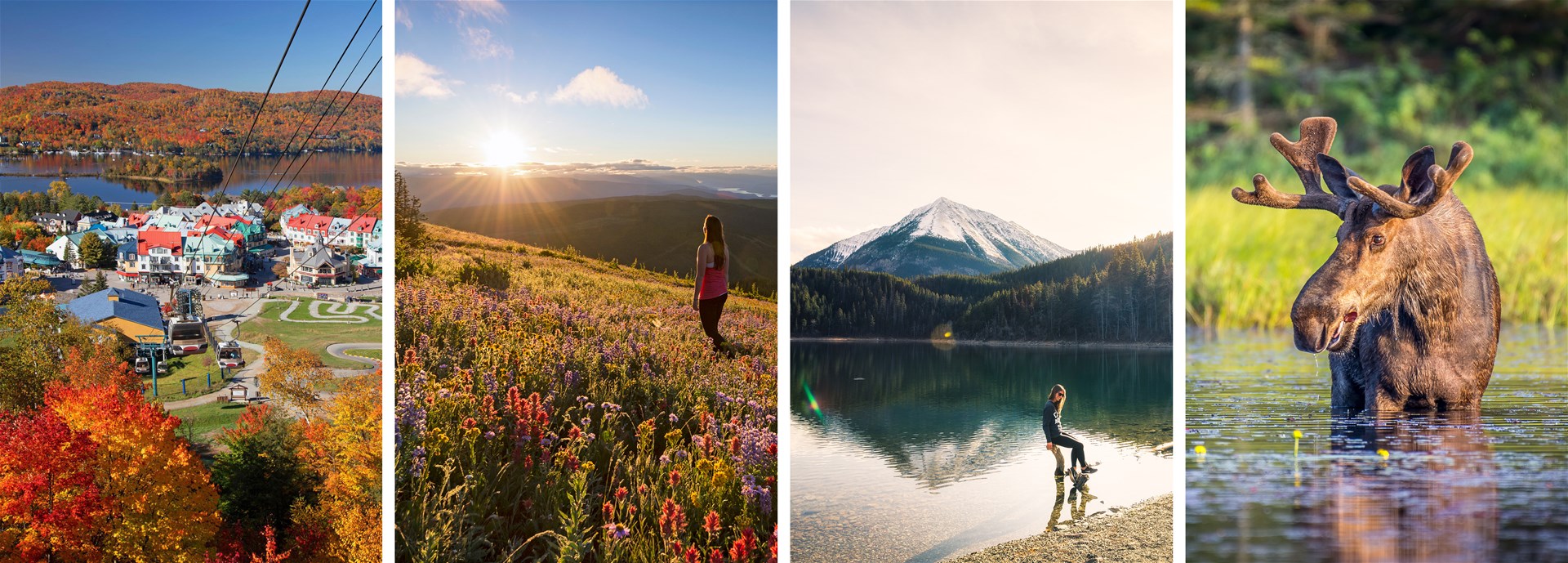 Iconic Canadian Holidays | Trailfinders