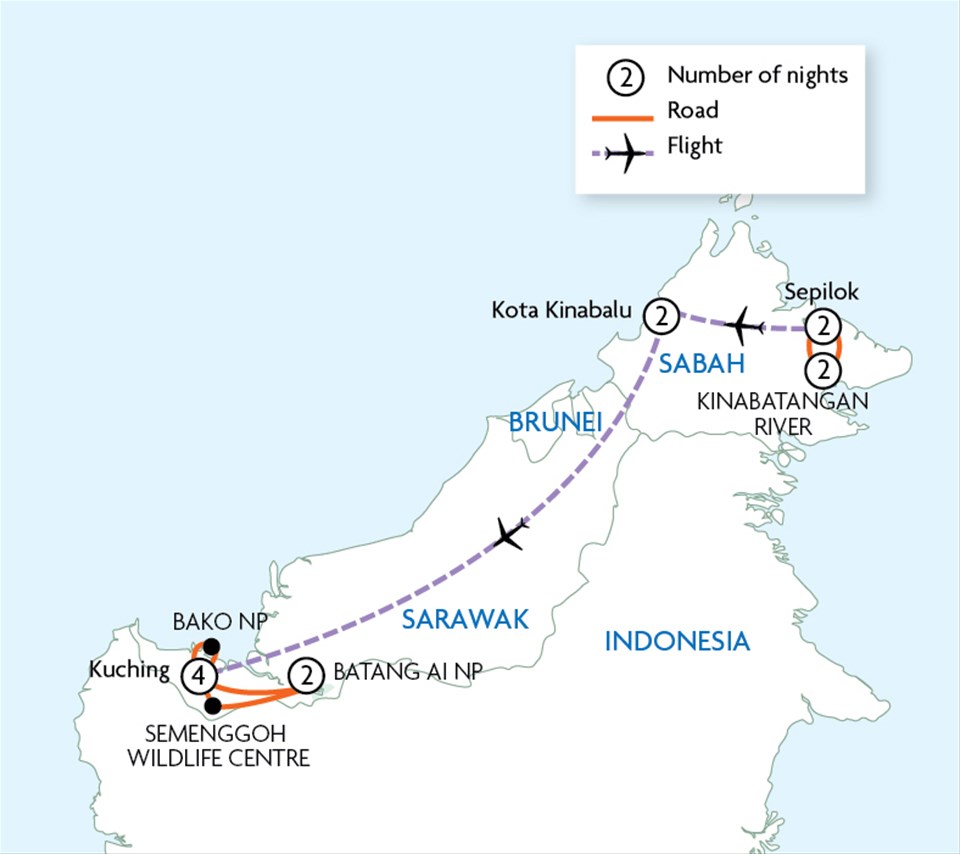 Highlights of Borneo | Trailfinders Ireland