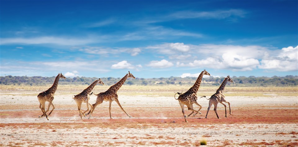 Journey through Namibia Tour | Trailfinders Ireland