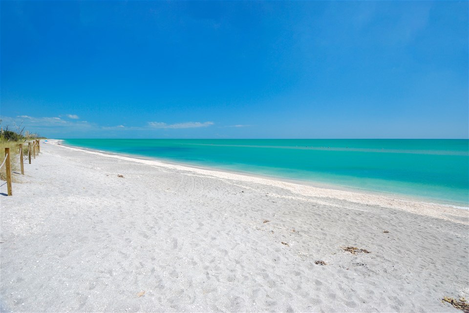 Top 5 Things to do in Florida | Trailfinders